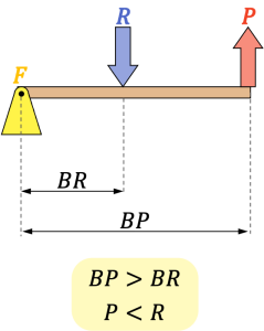 Quali sono i diversi tipi di leve? (esempi)