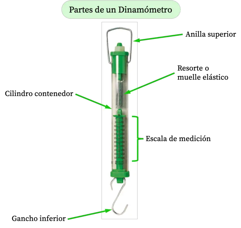 Dinamômetro: o que é, peças, tipos, funcionamento...