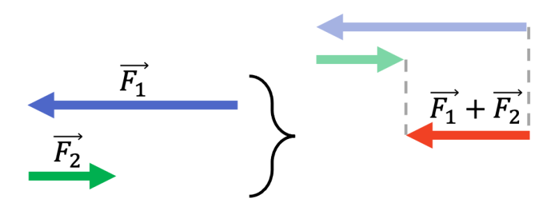 Comment calculer la force résultante (exercices résolus)